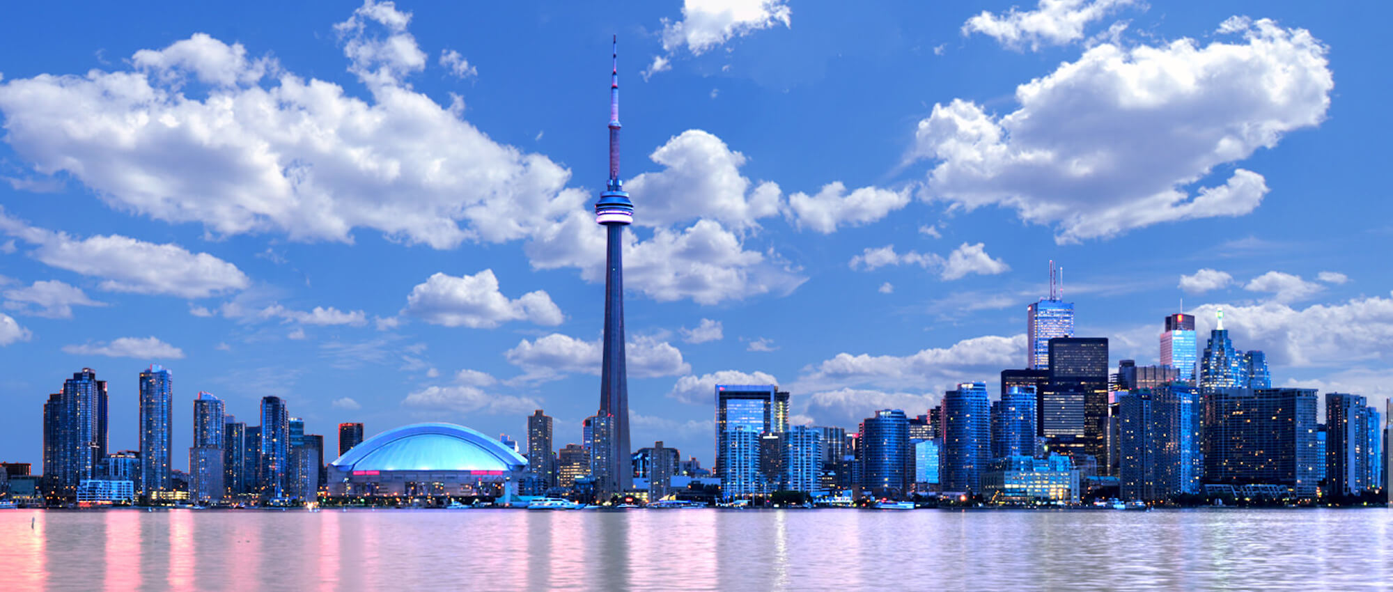 Matthew Raso Real Estate | Sutton Group Old Mill Realty Inc., Brokerage